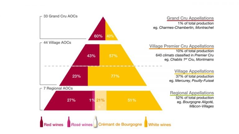 WITHIN THE REGIONAL APPELLATIONS OF BURGUNDY - Jacky Blisson